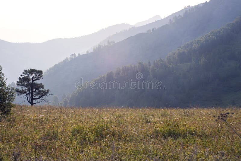 Mountains at dawn stock image. Image of green, building - 44308417