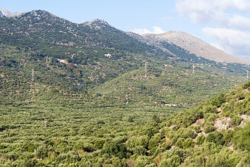 Mountains and Dense Forests on the Island of Crete. Stock Photo - Image ...