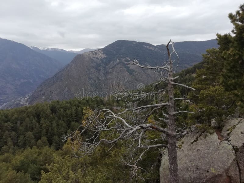 Mountains in a distance stock image. Image of forest - 146015797
