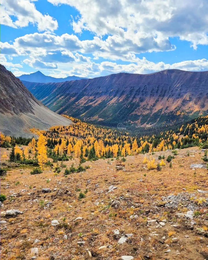 Mountains Drone View of Peter Lougheed Provincial Park Stock Image ...