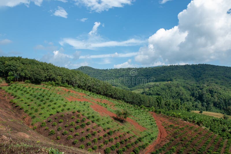 Mountains, Fields that are Doing Farming. Stock Image - Image of ...