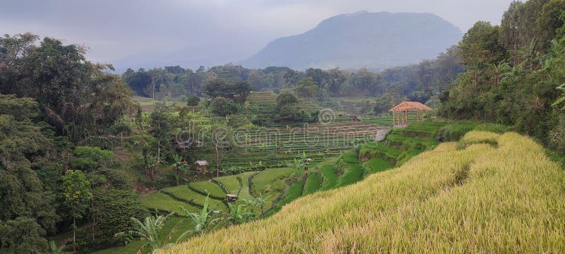 Mountains and Fields in East Java Stock Image - Image of soil ...