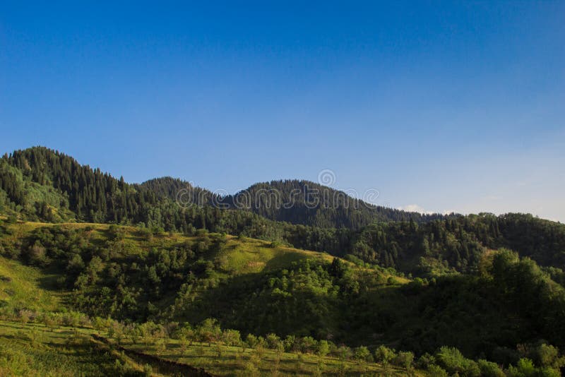 Almaty Tabagan Stock Photos - Free & Royalty-Free Stock Photos from ...