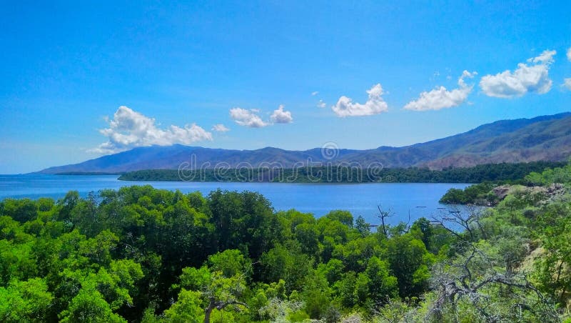 Mountains Forest with Green Mangrove Tree, Clear Sea and Blue Sky in ...