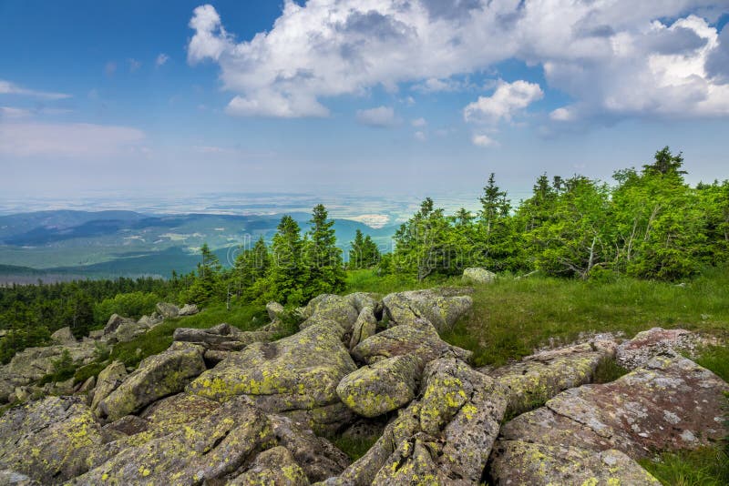 Mountains and Forest of Harz in the Sunlight , Germany Stock Photo ...