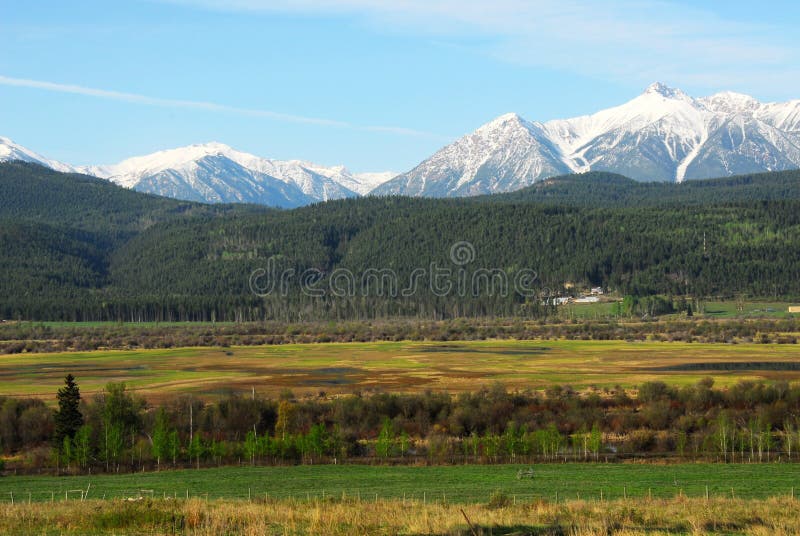 Mountains, Forests and Meadows Stock Image - Image of canadian ...