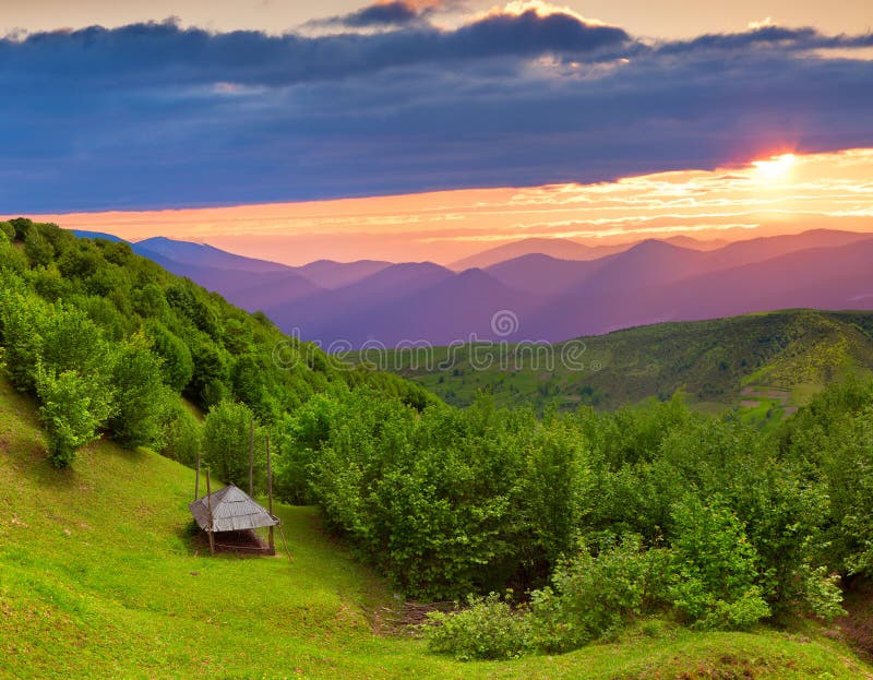 Mountains with Fresh Green Leaves Stock Photo - Image of garden, light ...