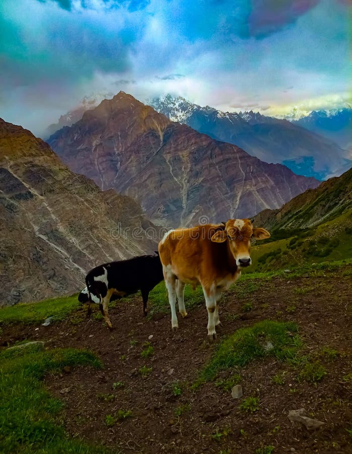 Mountains of Hunza Valley stock photo. Image of plateau - 223729346