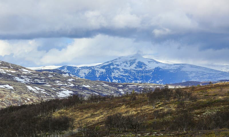 Mountains in Innerdalen, Norway Stock Photo - Image of norwegian, moss ...