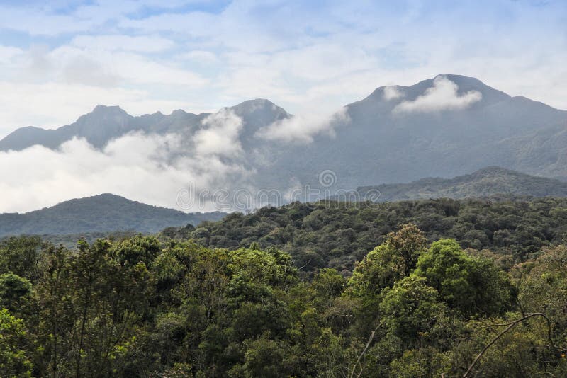 Mountains and Jungle in Brazil Stock Photo - Image of rainforest ...