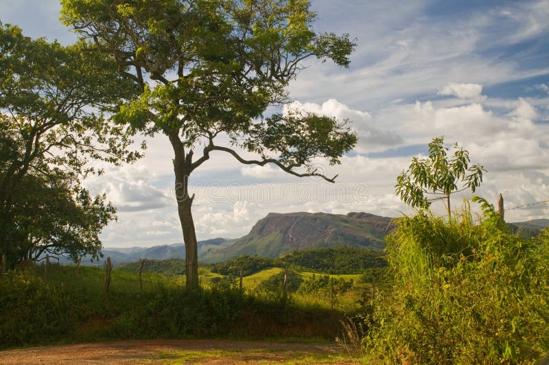 National Park Niokolo Koba in Senegal Stock Photo - Image of ...