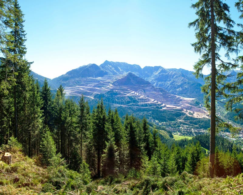 Mountains Landscape with Forest and Big Tree Stock Image - Image of ...
