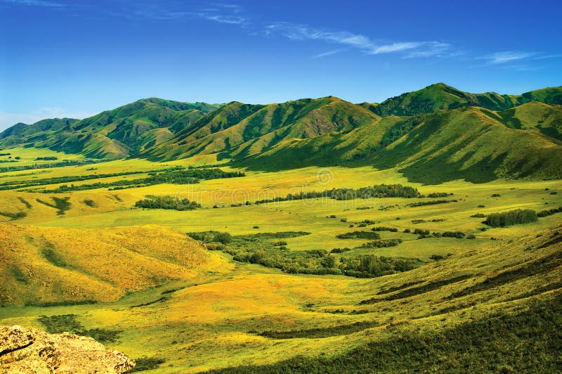 Mountains and Medow Landscape Stock Image - Image of plant, rockies ...