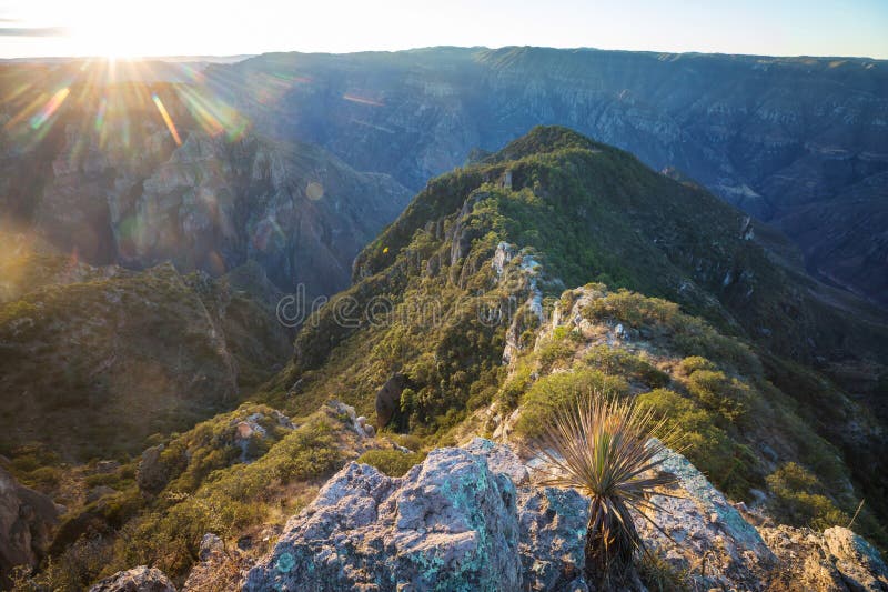 Mountains in Mexico stock photo. Image of organic, outside - 269703280