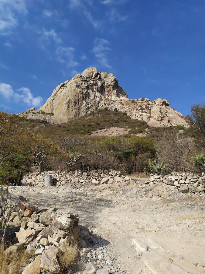Mountains in Mexico stock photo. Image of green, branch - 183013450