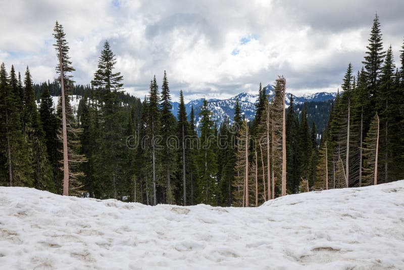 Mountains at Mount Rainier National Park in Washington State during ...