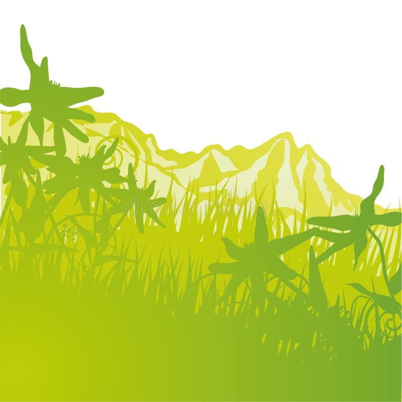 Mountains and Mountain Flowers Stock Vector - Illustration of ...