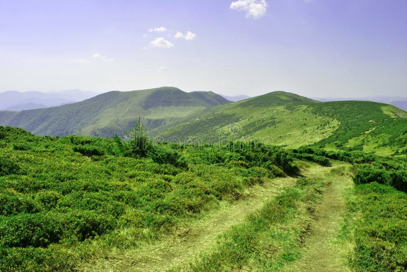 Mountains, in Pleasant Blue Sky, Covered by Trees. Stock Photo - Image ...