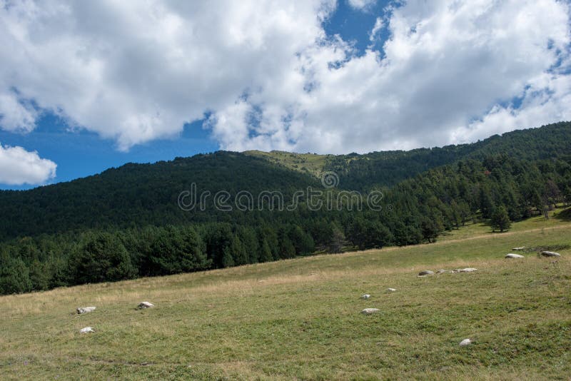 Mountains in the Pyrenees through the Valley of Aran Stock Image ...
