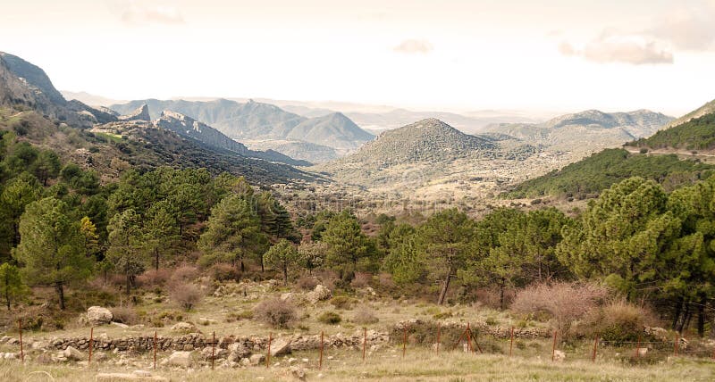 Durango desert stock photo. Image of durango, rocks, stones - 3745034