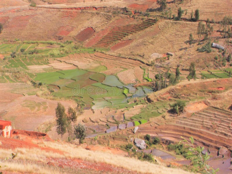Mountains, Rice Fields and Desert of Madagascar Stock Image - Image of ...