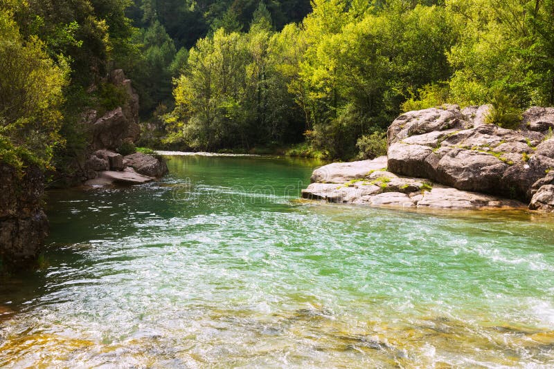 Mountains River with Forest Riverside Stock Photo - Image of forest ...