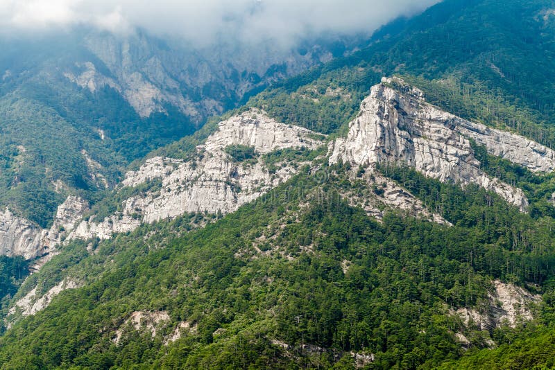 Mountains and Rocks Covered with Forest Vegetation and Pine Trees ...