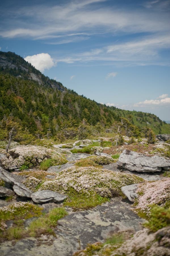 Mountains and Rocks in the North Carolina, USA Stock Image - Image of ...