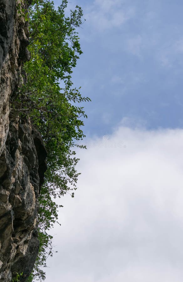 Mountains with Small Trees, on Cloudy Sky Background. Stock Photo ...