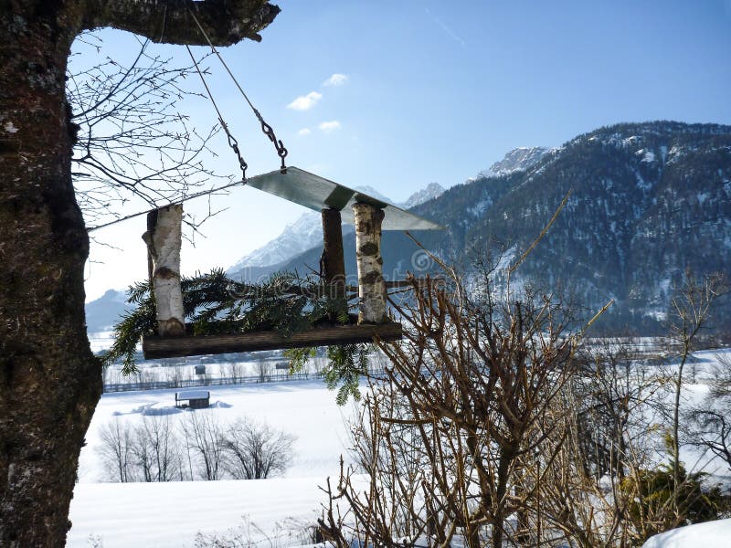 Mountains Snow Austria and Birdhouse in the Tree Stock Photo - Image of ...