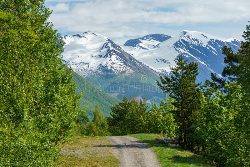 Mountains with Snow in the Spring Time in Norway Stock Image - Image of ...