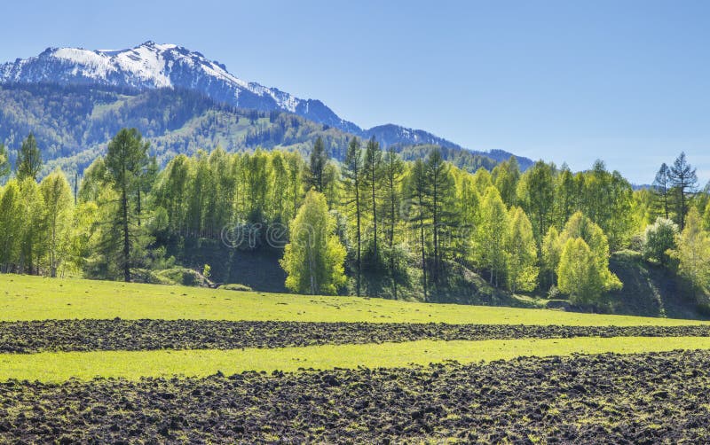 Mountains in Spring, Rural Landscape with Arable Land Stock Photo ...