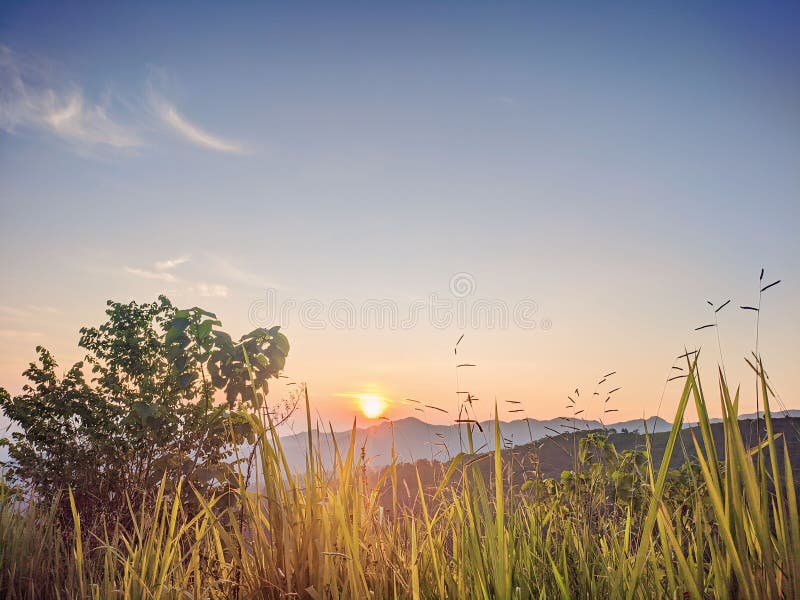 Mountains, Sunrise, Views, Plantations, Beautiful Views Stock Image ...