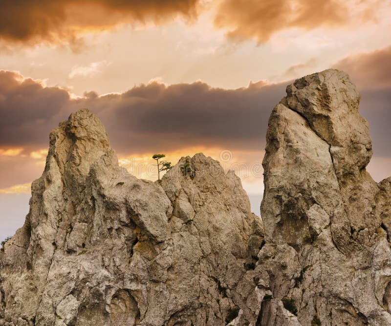 Mountains, in the Sunset Light, Embossed Rocks. a Lone Tree on the ...