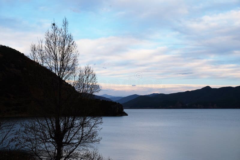 Mountains and Tree Branches with Peaceful Lake Stock Photo - Image of ...