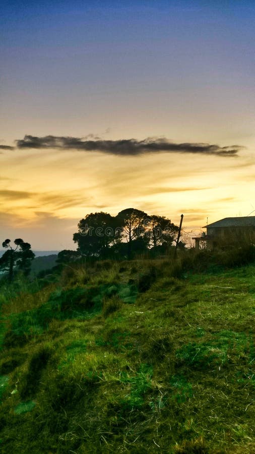 Colour contrast stock image. Image of wild, nature, colour - 116393335