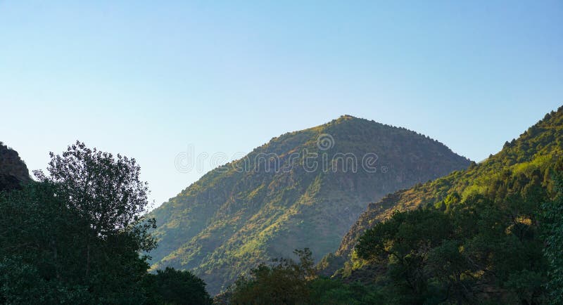 The Mountains are Trees and the Sky is Blue Stock Image - Image of ...