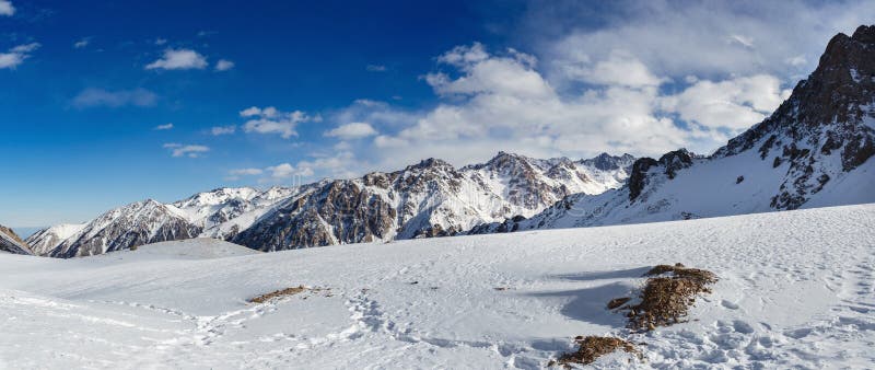 Snow Panorama stock photo. Image of pine, morning, cold - 574204