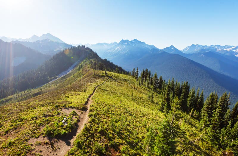 Mountains in Washington stock image. Image of national - 154998179