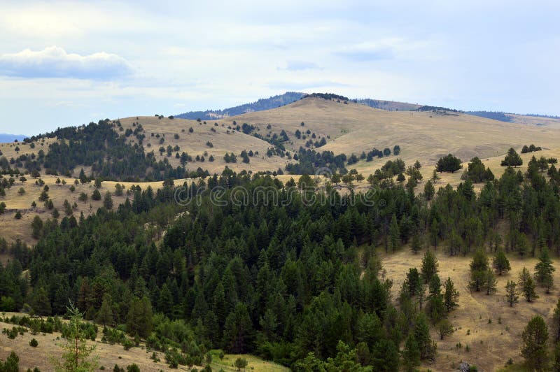 Mountains in Washington Oregon Idaho Stock Photo - Image of forest ...