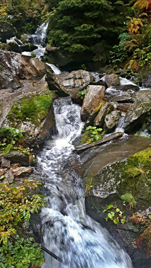 Wild waterfall stock image. Image of wild, forest, wilderness - 114781199