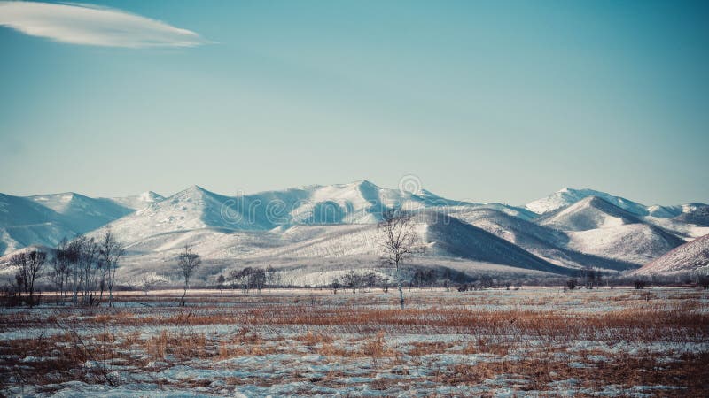 Mountains, Winter, Lonely Tree, Sunny Day, Valley. Stock Photo - Image ... Mountains, Winter, Lonely Tree, Sunny Day, Valley. Stock Photo - Image ...