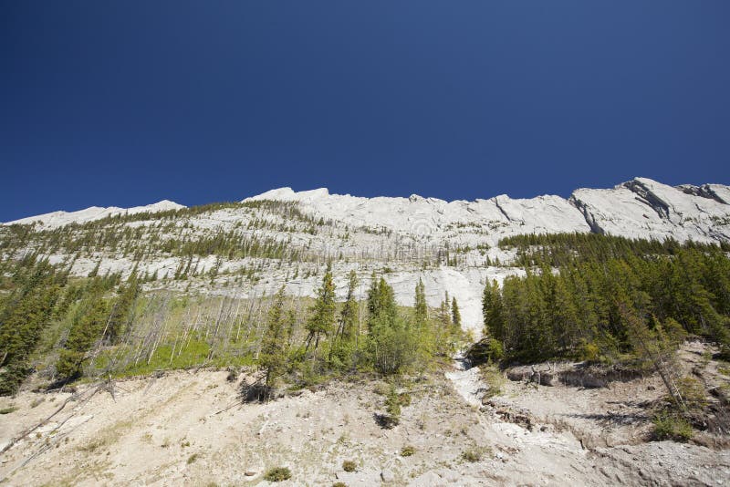 Mountainside Landscape Alberta Stock Image - Image of trees, terrian ...
