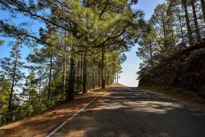 Mountainside Road in Gran Canaria, Spain Stock Image - Image of island ...