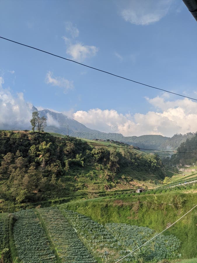 Mountain hill farm stock image. Image of landscape, ridge - 262792503