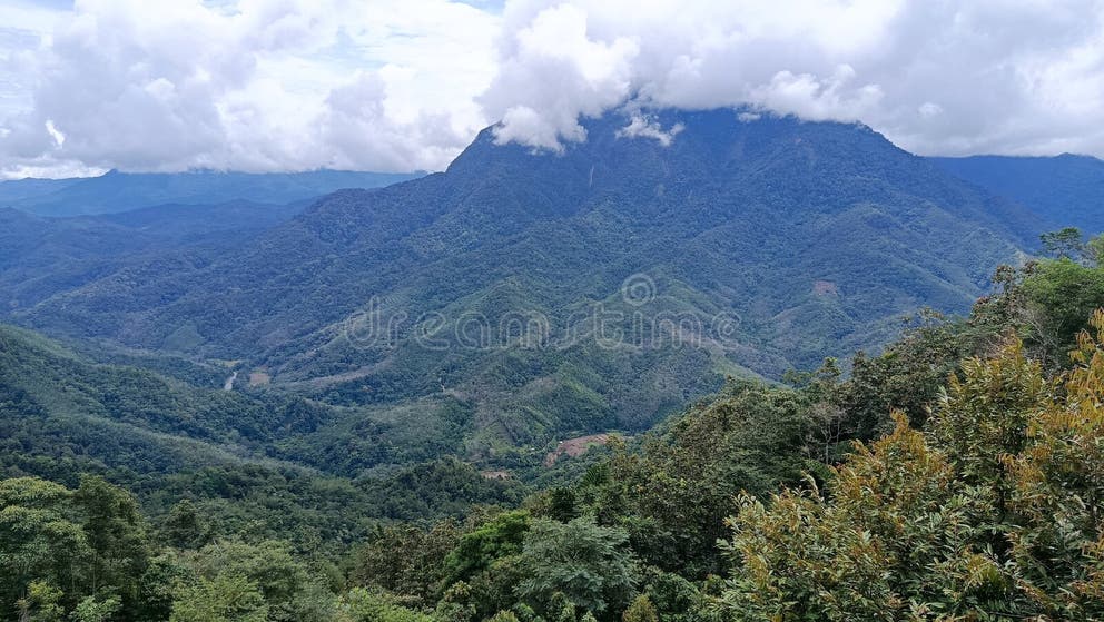 421 Mounten Pics Stock Photos - Free & Royalty-Free Stock Photos from ...