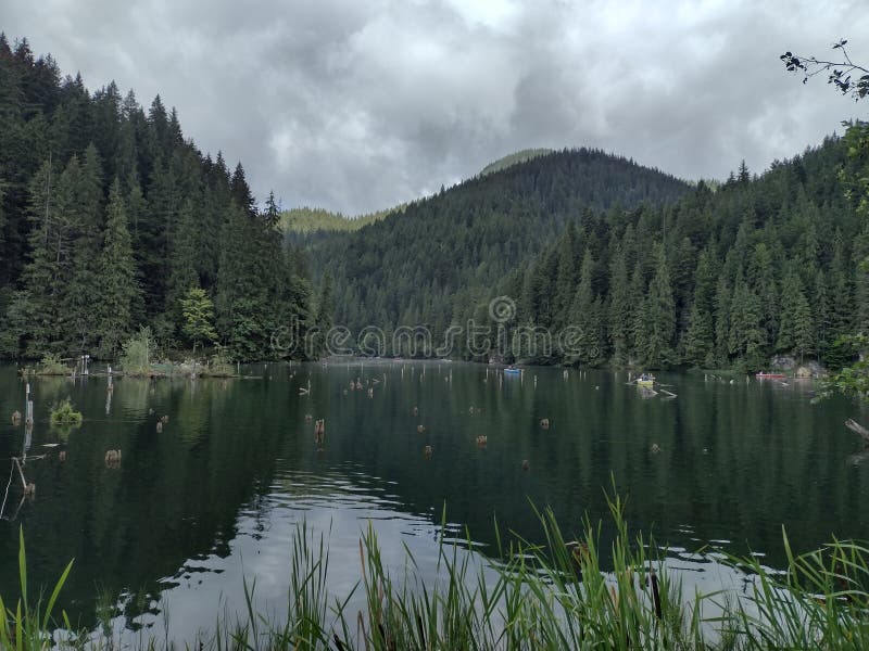 Mounten lake 1 stock image. Image of nature, water, forest - 260831135