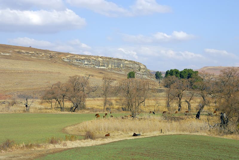 Mountians stock photo. Image of relax, field, space, road - 13142464
