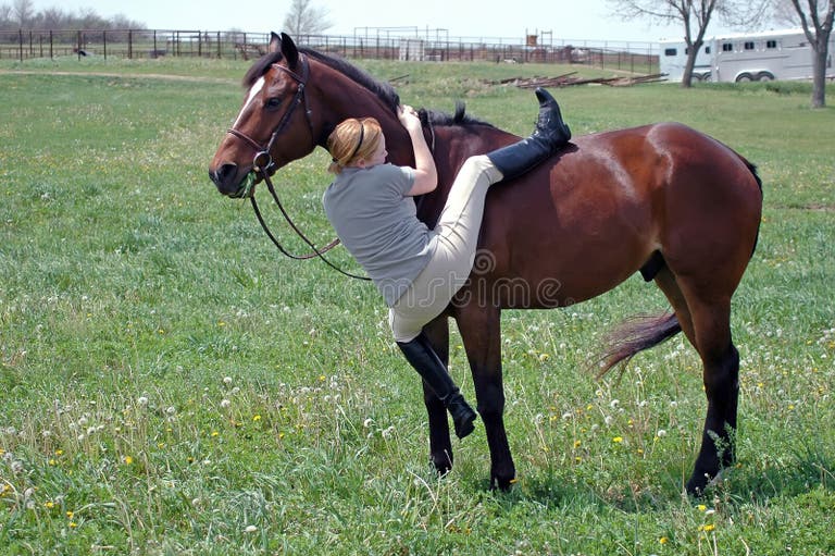 Mounting a horse stock image. Image of animal, field, jumping - 2379745