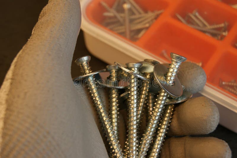 Builder S Work Process. Screws with a Stell Washers in the Hand of the ...